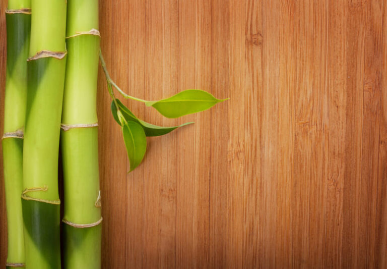 Piso de bambu: conheça as vantagens deste produto - Kapor Pisos ...